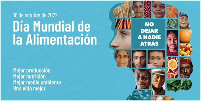 16 De Octubre Día Mundial De La Alimentación Noticias Unsl